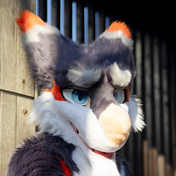 作品画廊 – MOFUMOFU